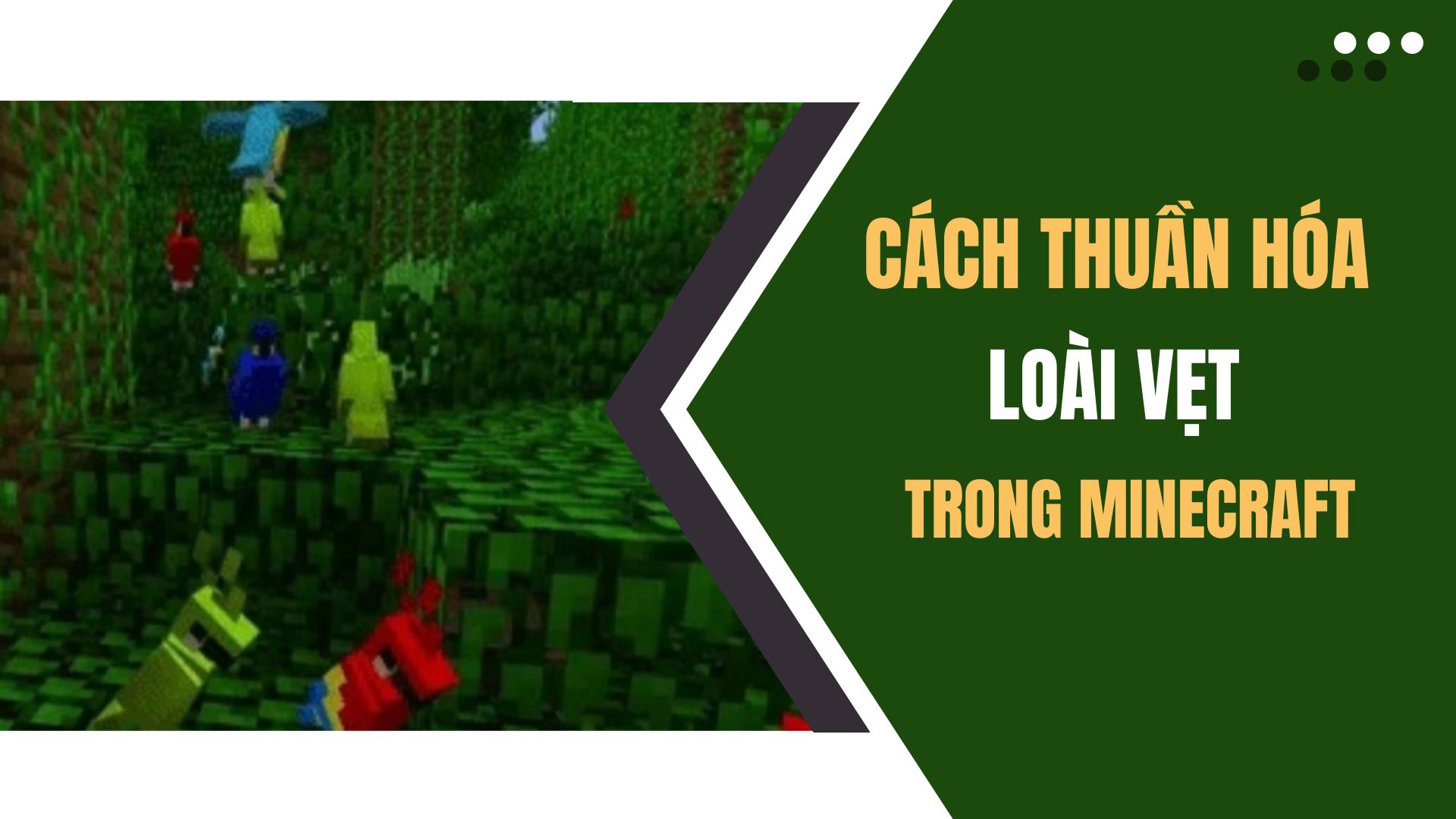 Hướng dẫn từ A-Z cách thuần hóa loài vẹt trong Minecraft