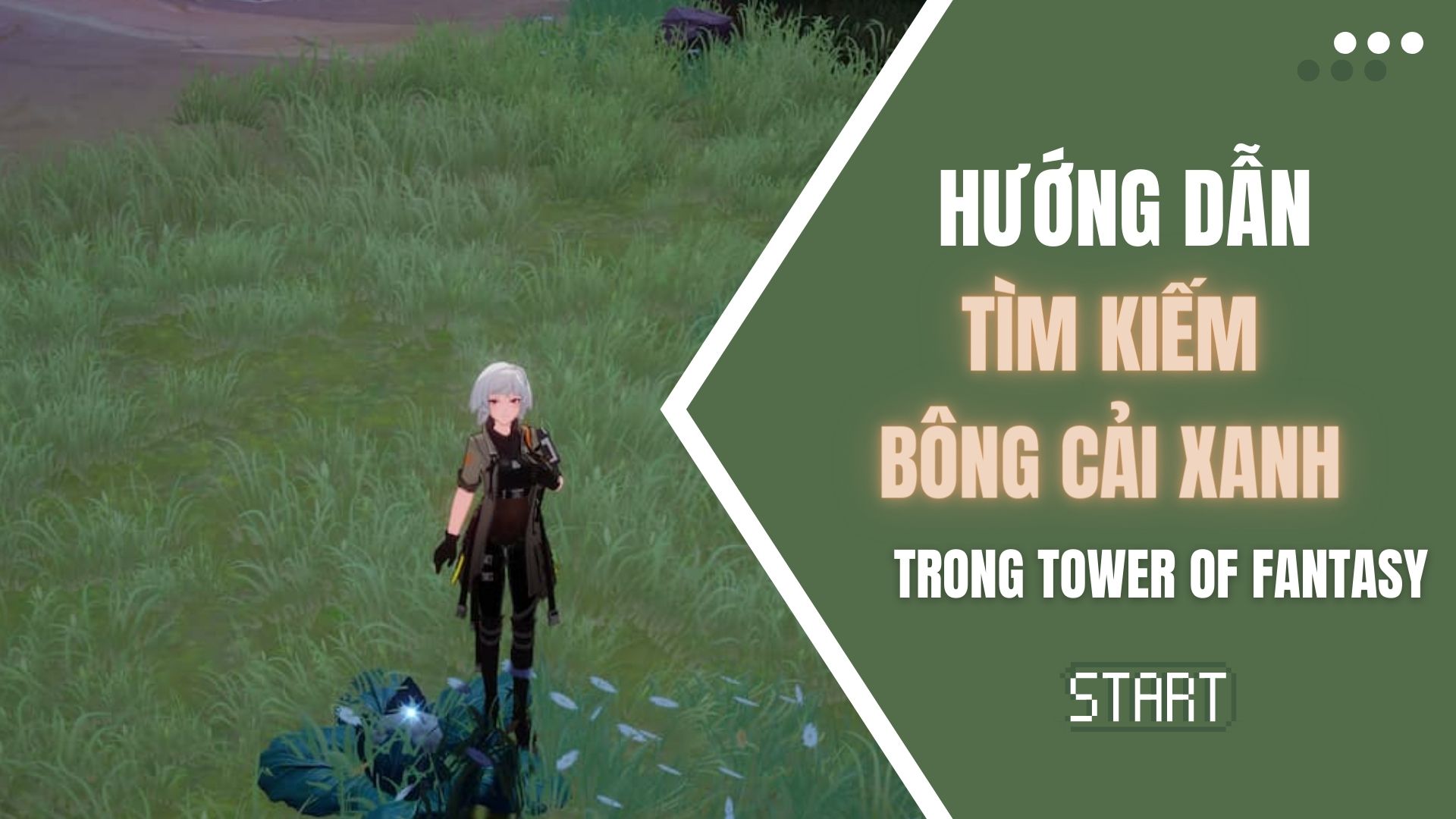 [Tower of Fantasy] Hướng dẫn tìm kiếm và lợi ích của bông cải xanh
