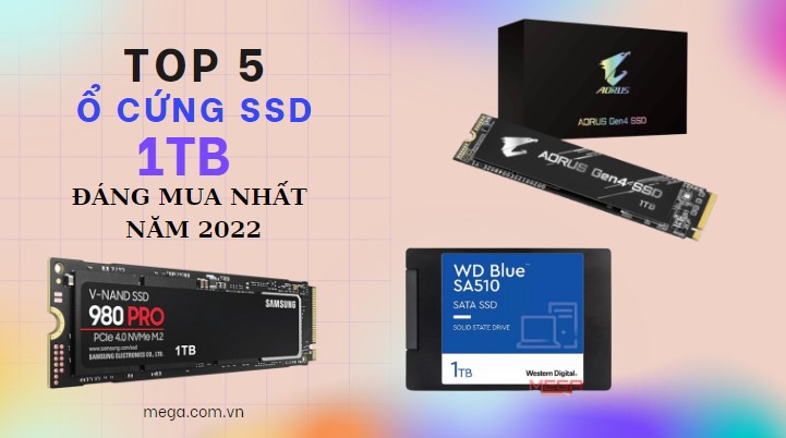 Top 5 ổ cứng SSD 1TB đáng mua nhất năm 2023