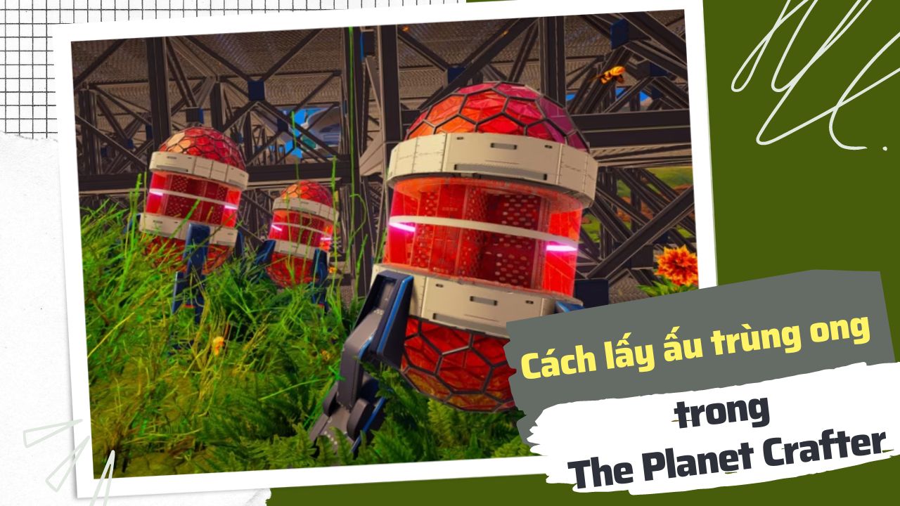 Hướng dẫn cách xóa dòng kẻ trong word 2010, 2013, 2016, 2019