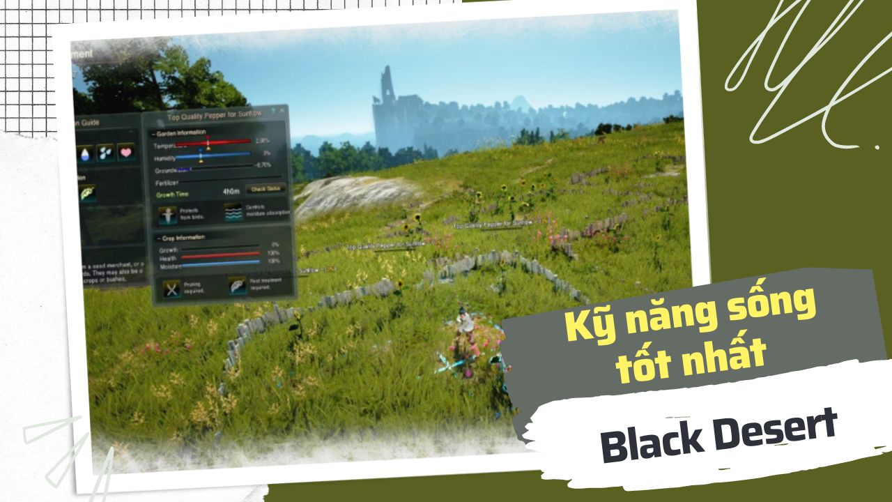 Kỹ năng sống tốt nhất nên học trong Black Desert