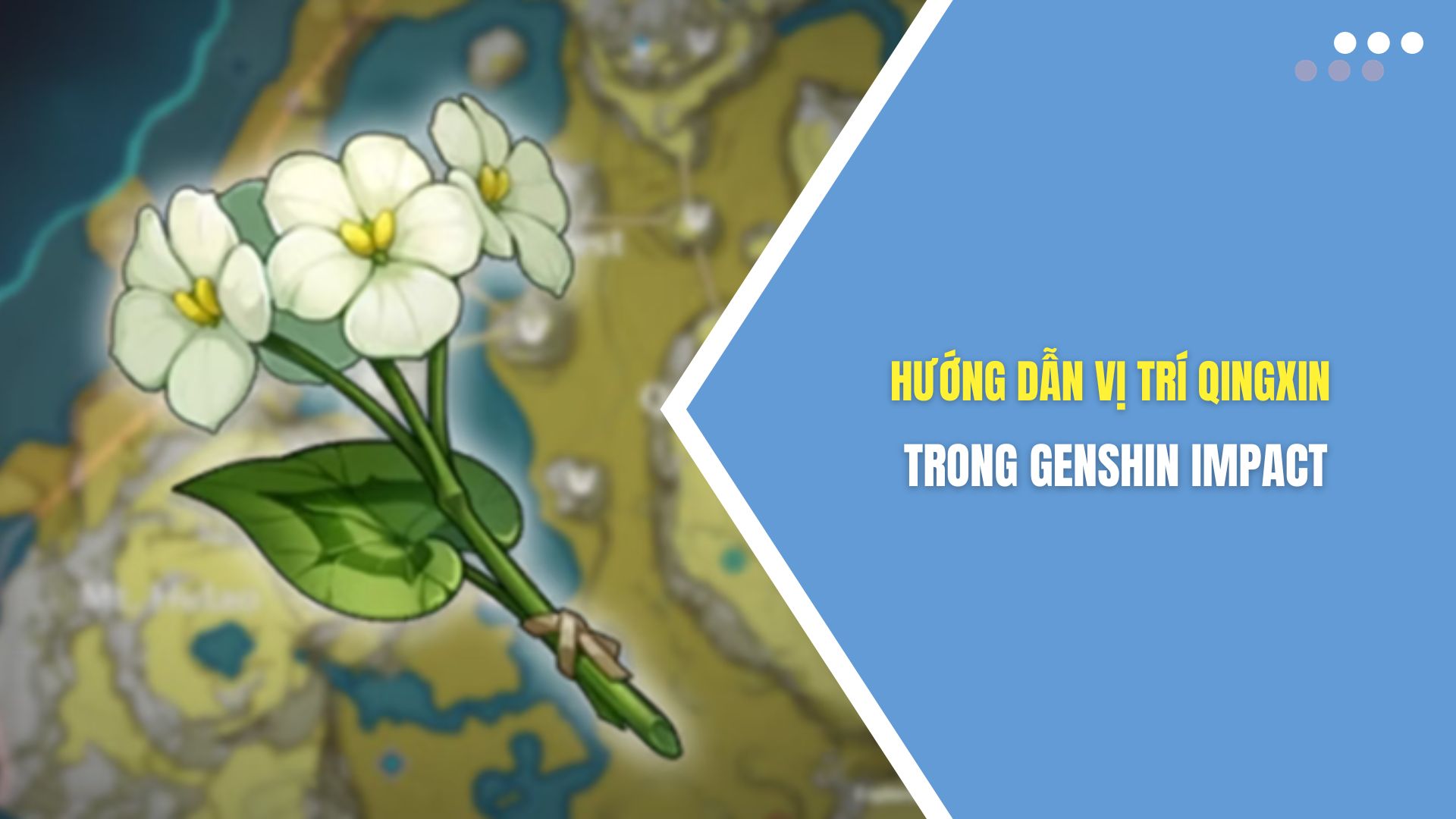 Hướng dẫn vị trí Qingxin trong Genshin Impact