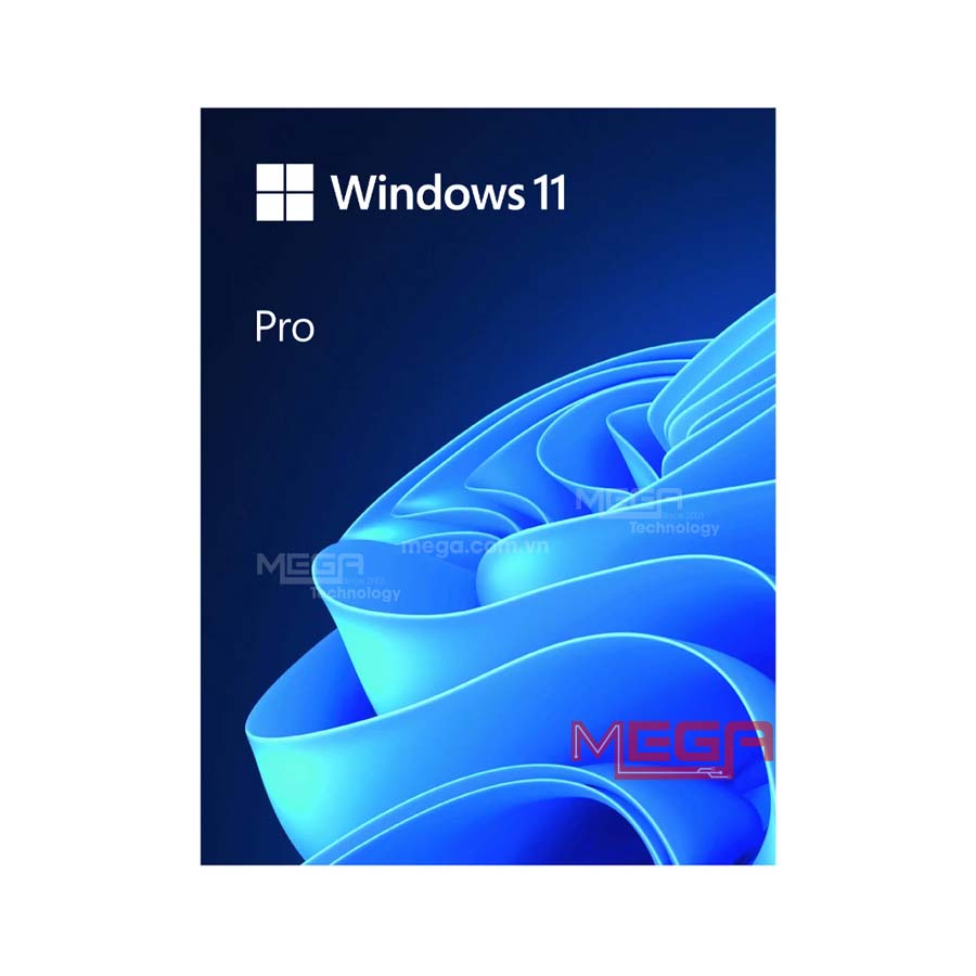 Phần mềm Microsoft Win Pro 11 64bit Eng USB FPP (HAV-00163) | mega